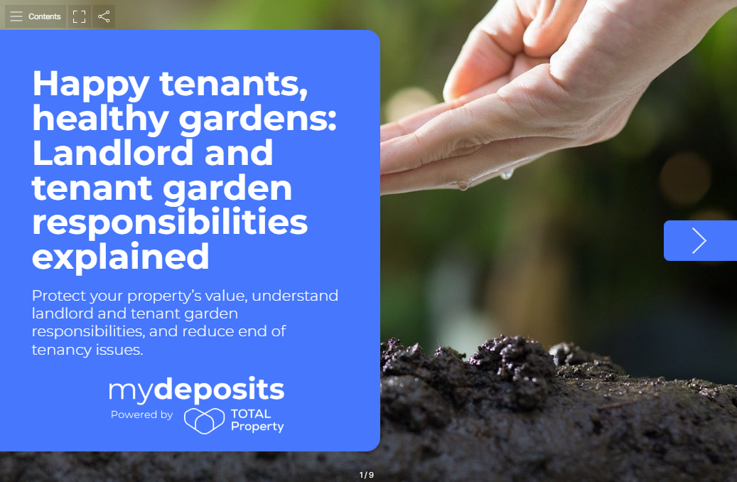 What to include in your rental agreement - mydeposits